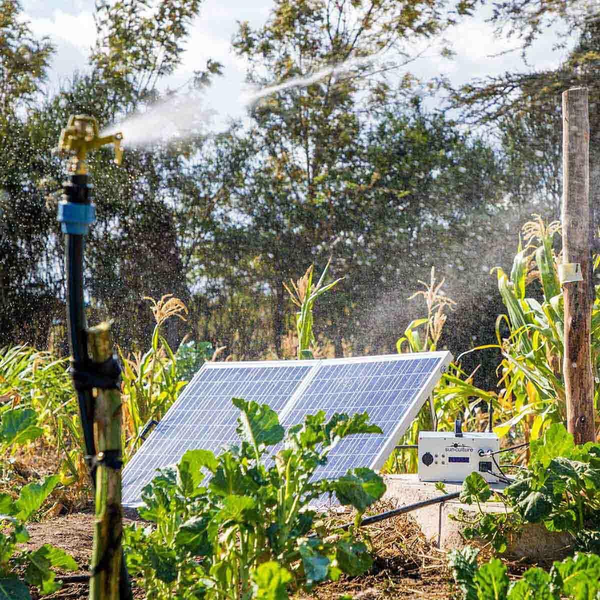 Imagine Dignity Exhibit Program