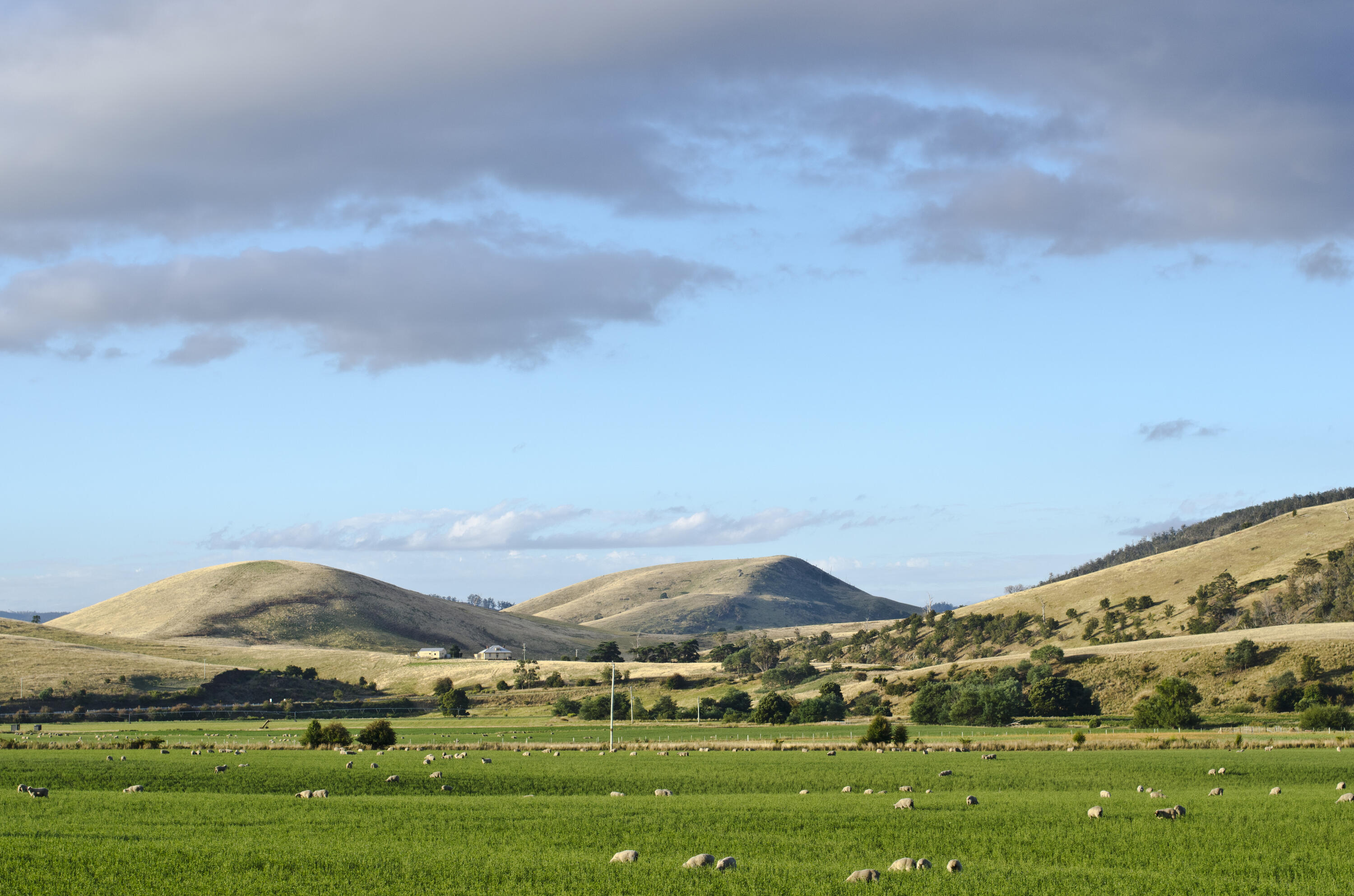 National Bush Summit | Improving Regional Australia