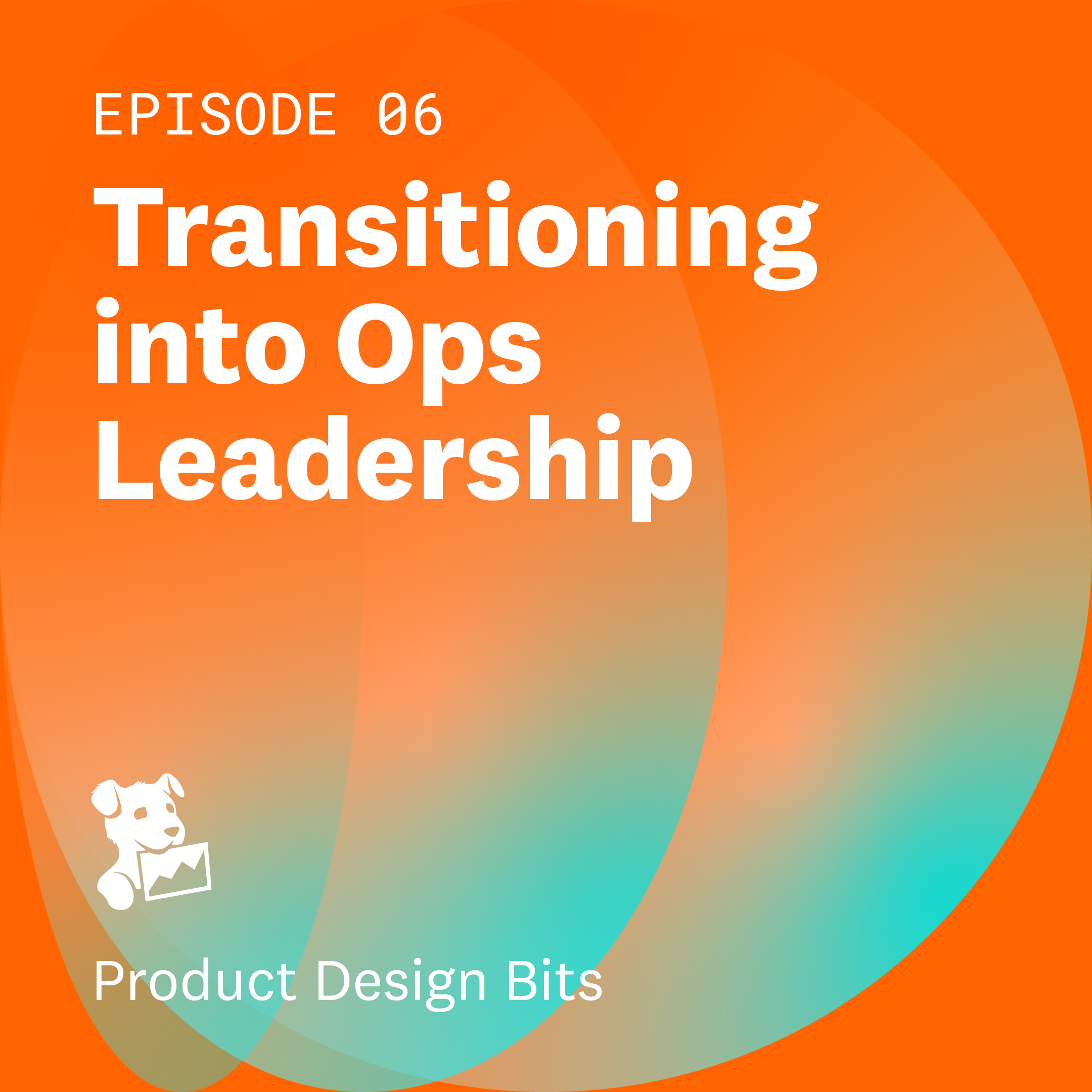 Product Design Bits - Transitioning into Ops Leadership
