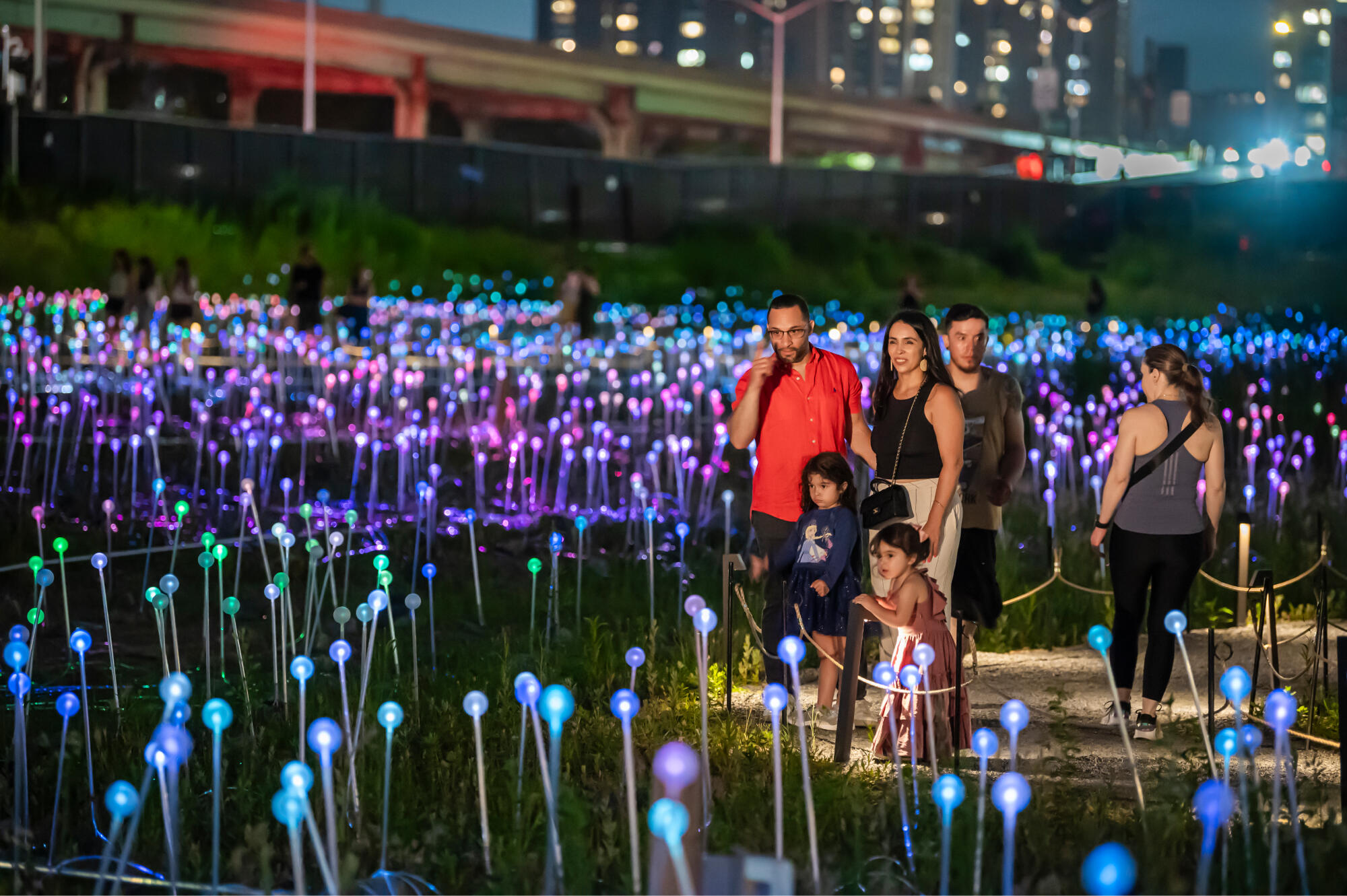 Field of Light at Freedom Plaza