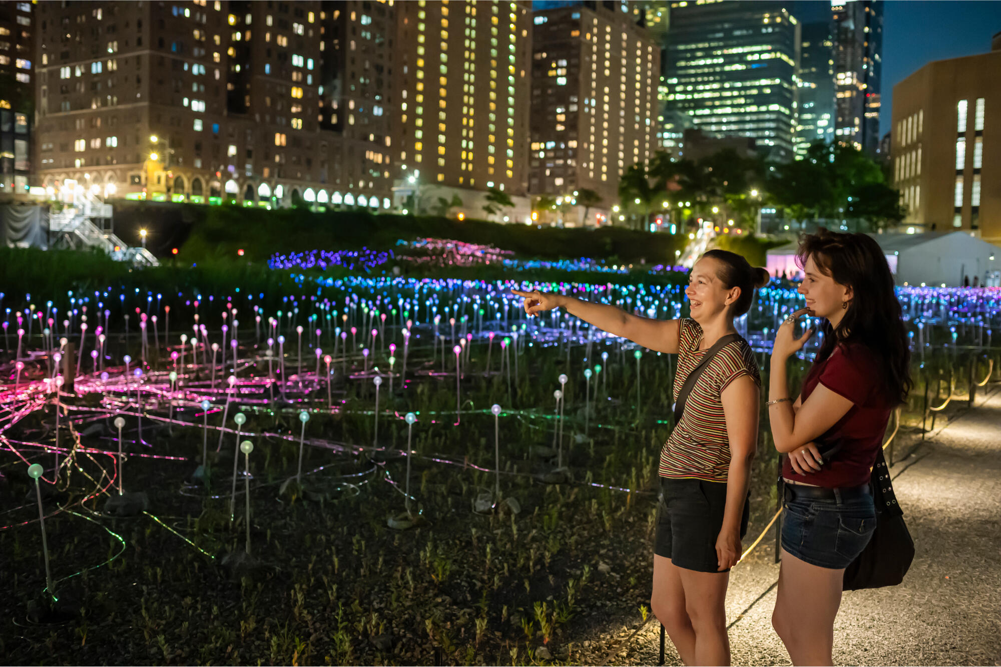 Field of Light at Freedom Plaza