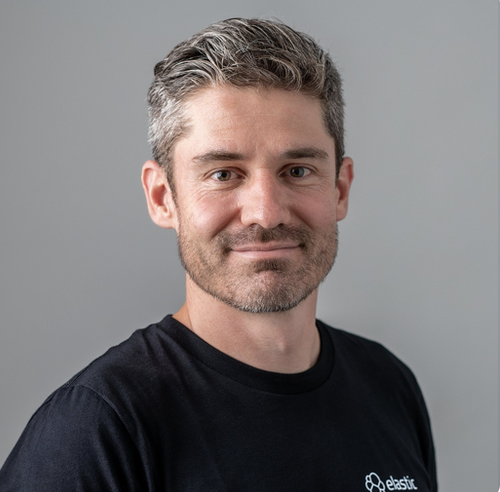 Financial Services: Reducing time to insight using Elastic and GenAI