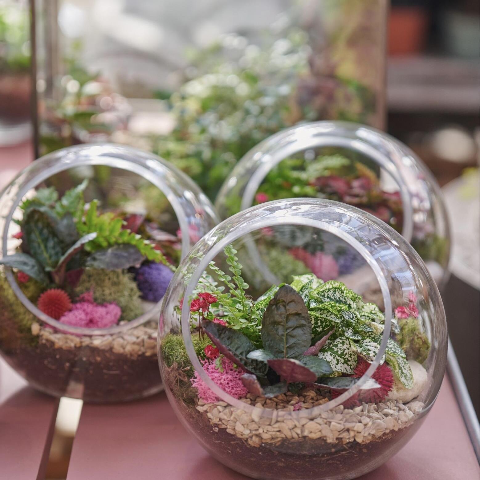 Spring Terrarium Workshop Glen Mills