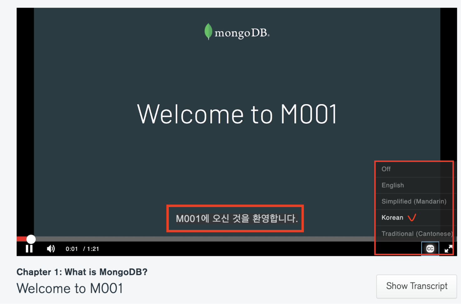 2025년 MongoDB University 자격증 프로그램