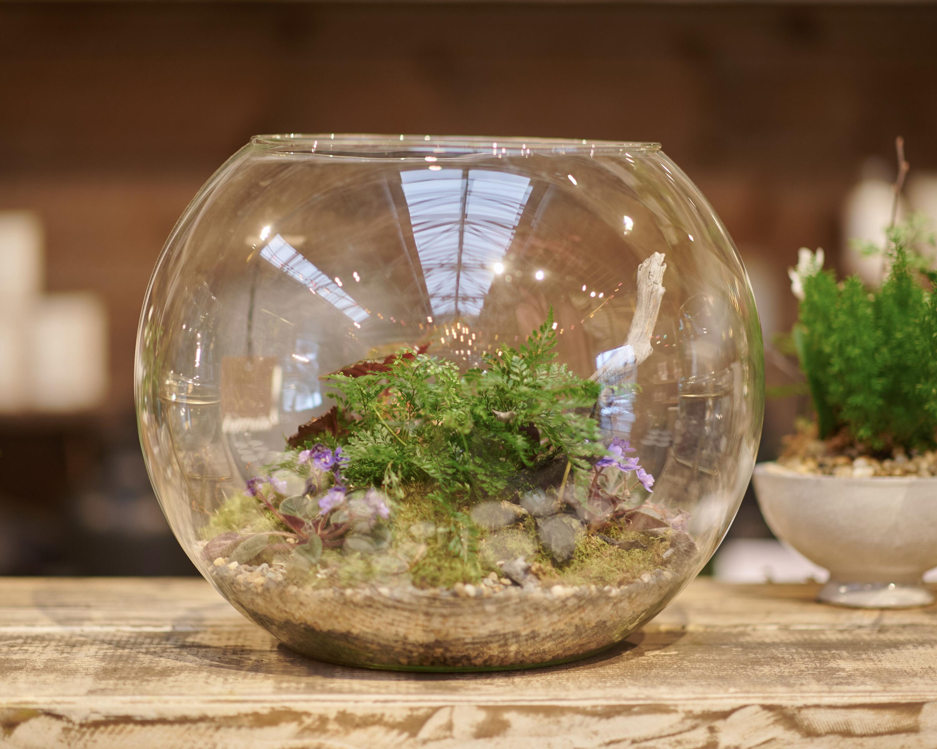 Beach Terrarium Workshop