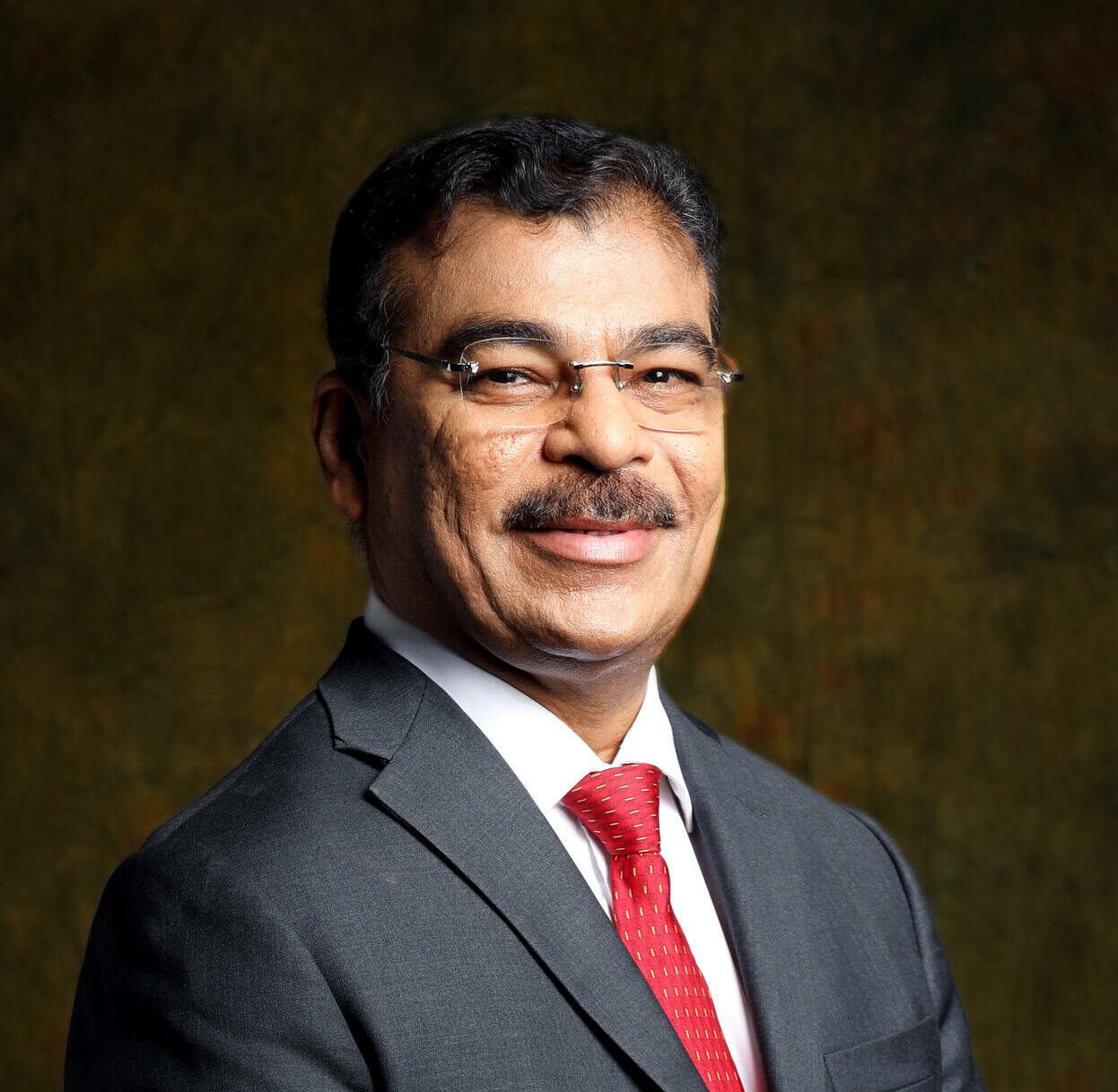 Fitch on India 2024
