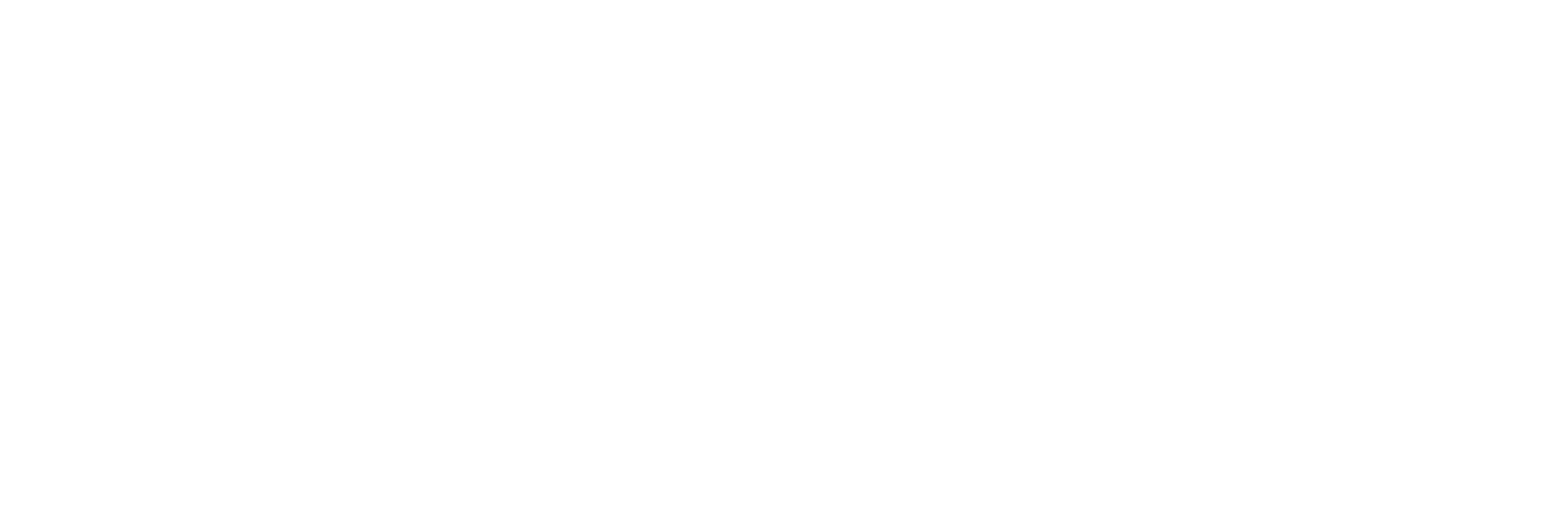 CES 2025