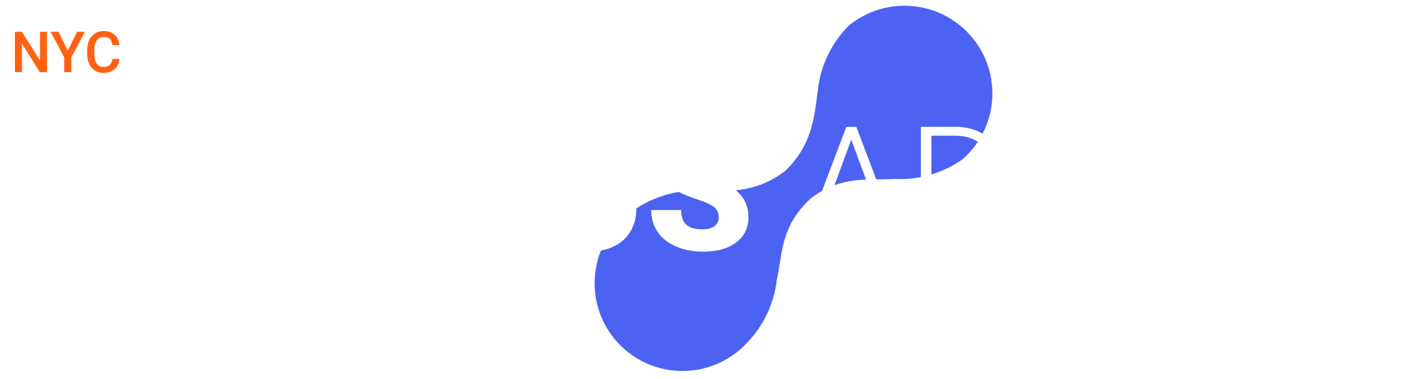 Adapt in Action - New York City